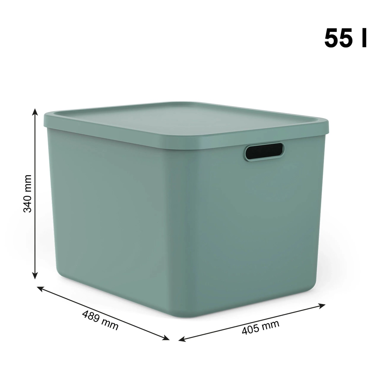 Rotho Multibox Albula Mistletoe Green 55 l