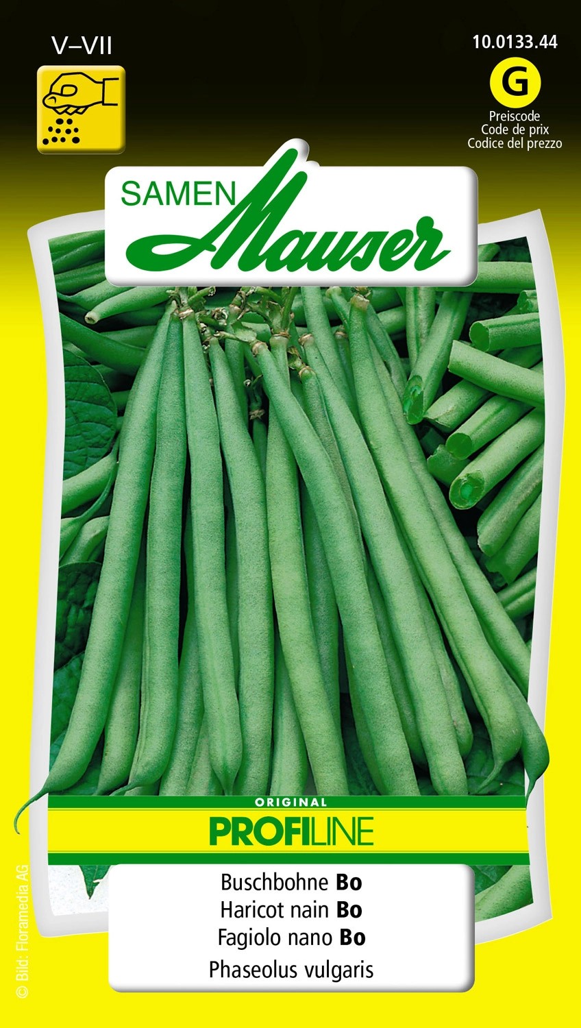 Buschbohne Bo kaufen bei OBI
