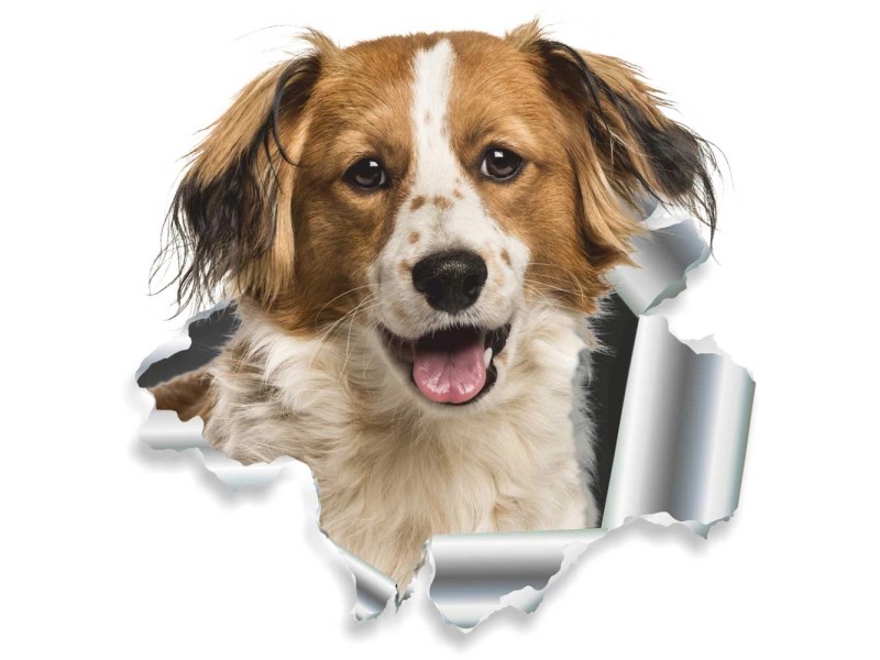 Sticker Hund 27 x 20 cm kaufen bei OBI