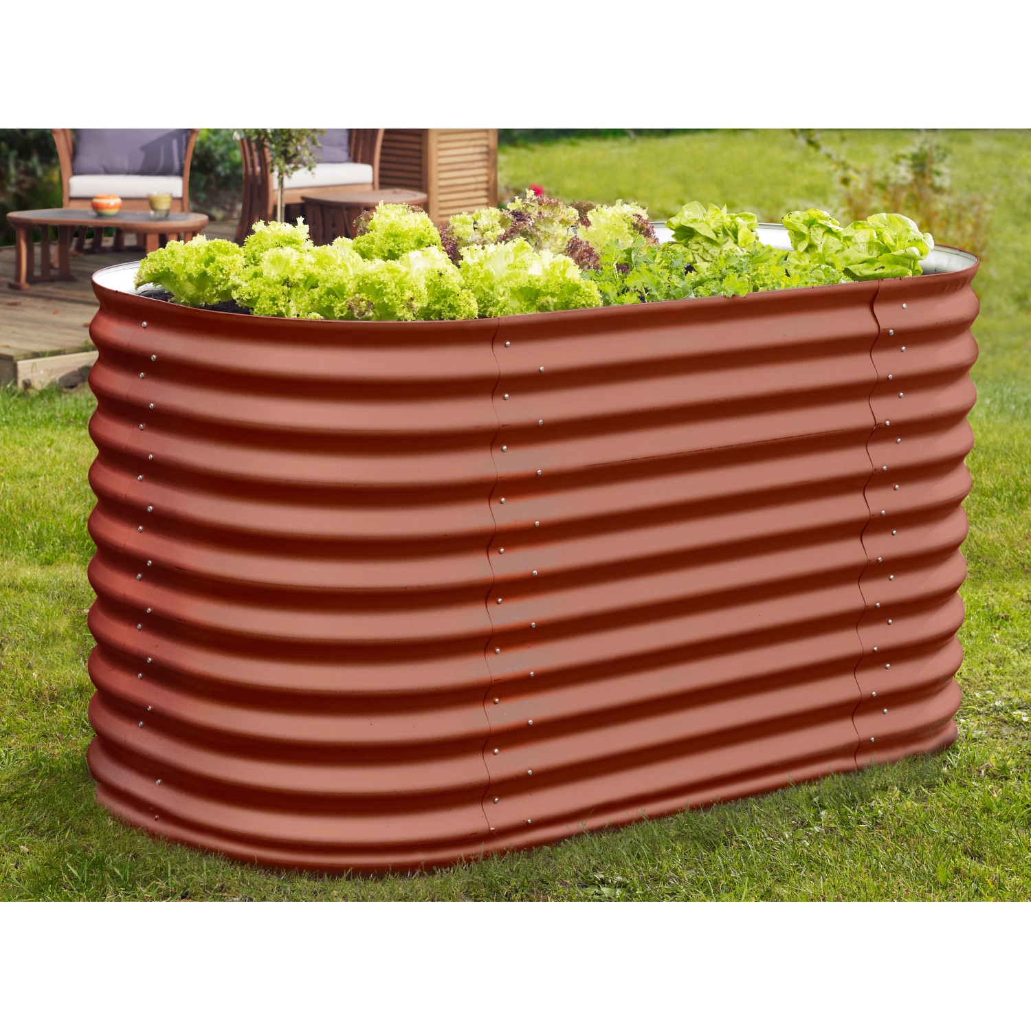 Vitavia Hochbeet Vita 858 oval Rot (HxBxT) 86 x 82,1 x 162,1 cm kaufen ...