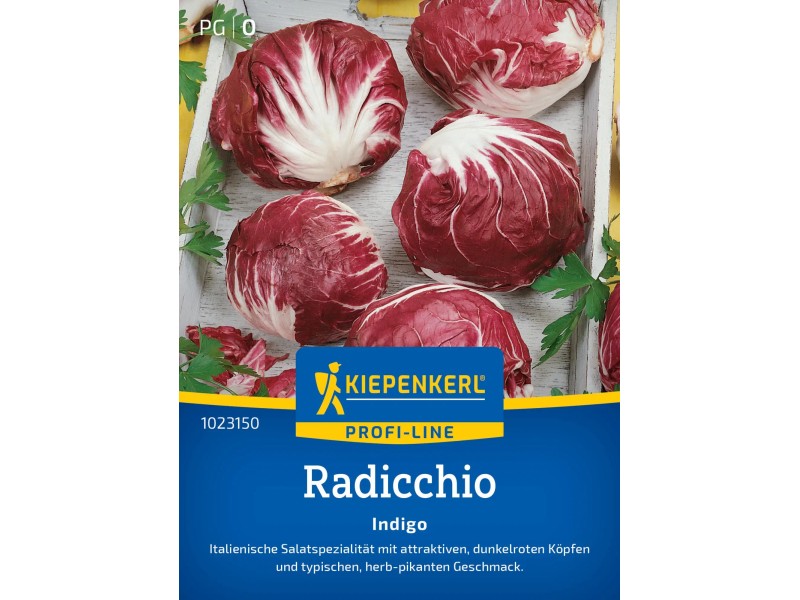 Kiepenkerl Radicchio Indigo Profi-Line F1-Hybrid