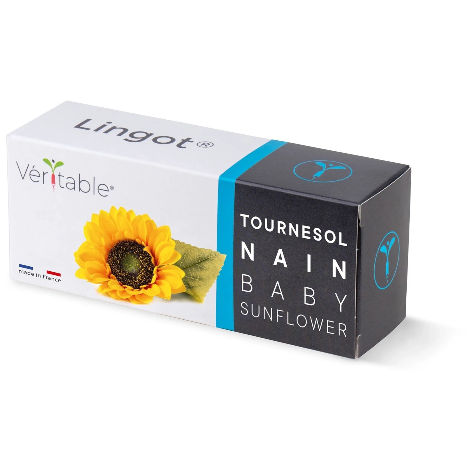Véritable Lingot Blumensamen Baby-Sonnenblume kaufen bei OBI