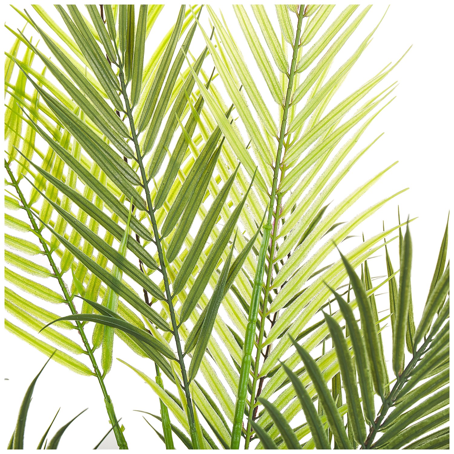 Kunstpflanze Areca Palm im Blumentopf Ø 10 cm / Höhe 83 cm kaufen bei OBI