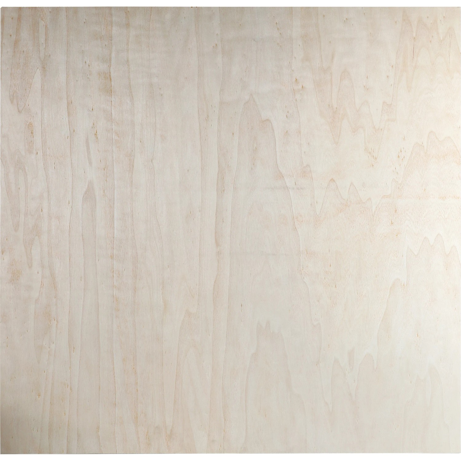 Pannello di compensato di pioppo (HxLxP) 1'250 x 830 x 9 mm