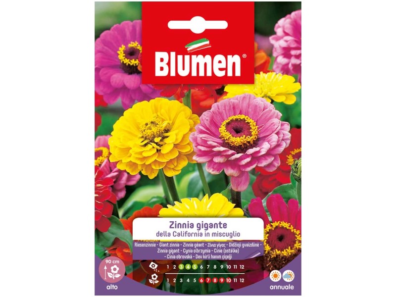 Blumen Mix Riesenzinnie Zinnia elegans California kaufen bei OBI