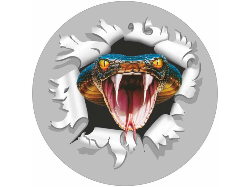 Sticker Kobra 7 x 7 cm kaufen bei OBI