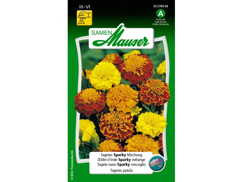 Tagetes Sparky Mischung kaufen bei OBI