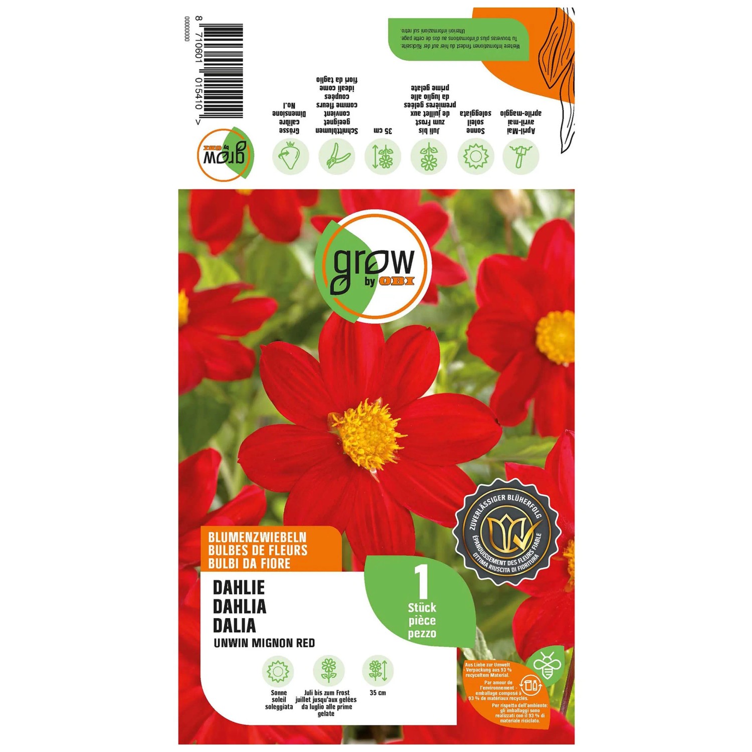 Grow by OBI Dahlia Unwin Mignon Red 1 pc