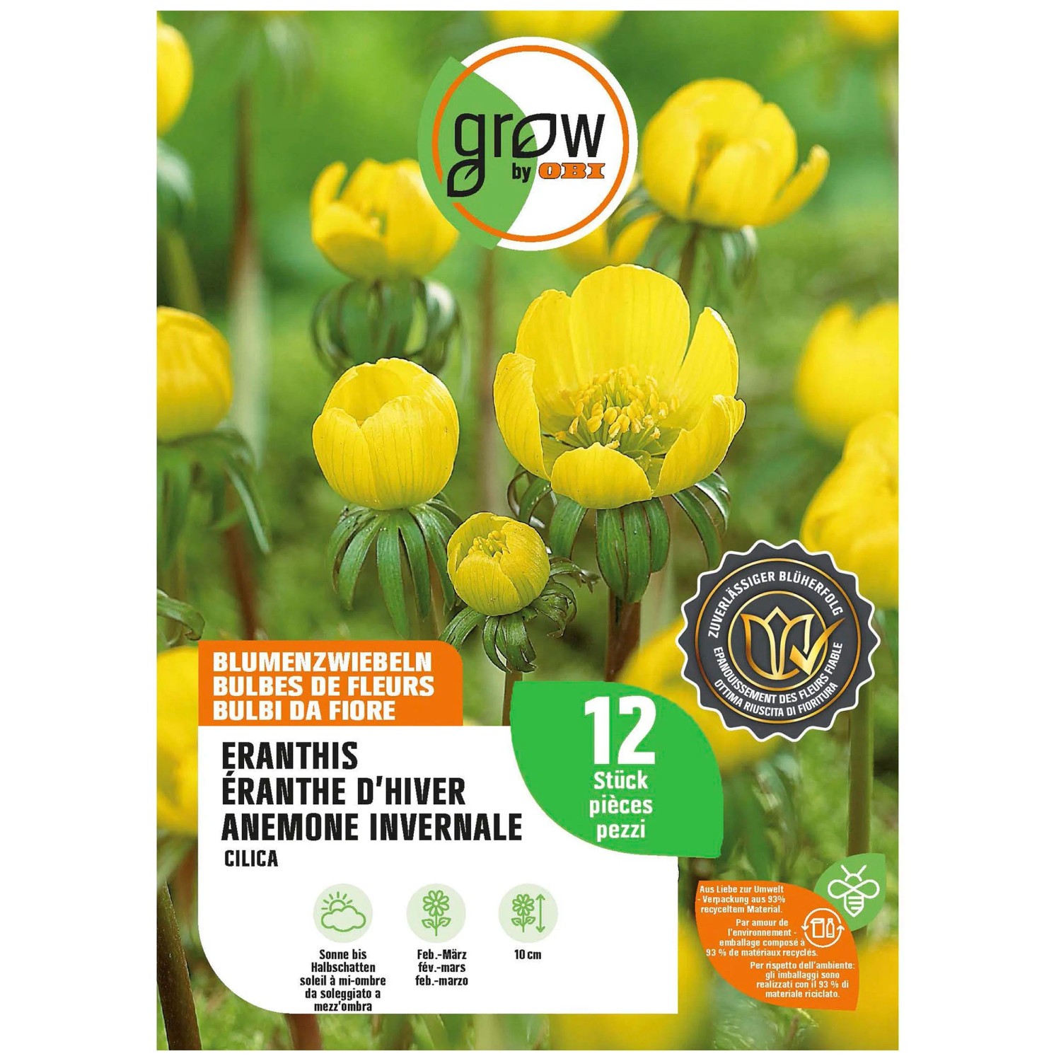GROW by OBI Bulbo da fiore Piè di gallo Giallo 10 cm / 12 pz. acquista ...