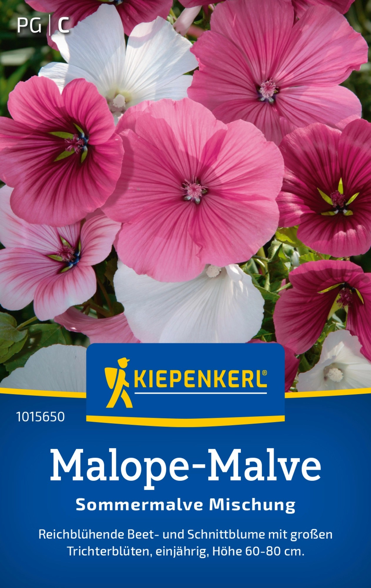 Kiepenkerl Malope-Malve Sommermalve Mischung Malva sylvestris kaufen bei OBI