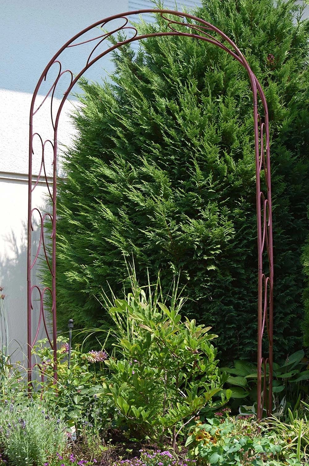 Arc pour rosiers Honey Bordeaux métallisé (HxlxP) 124 x 36 x 244 cm