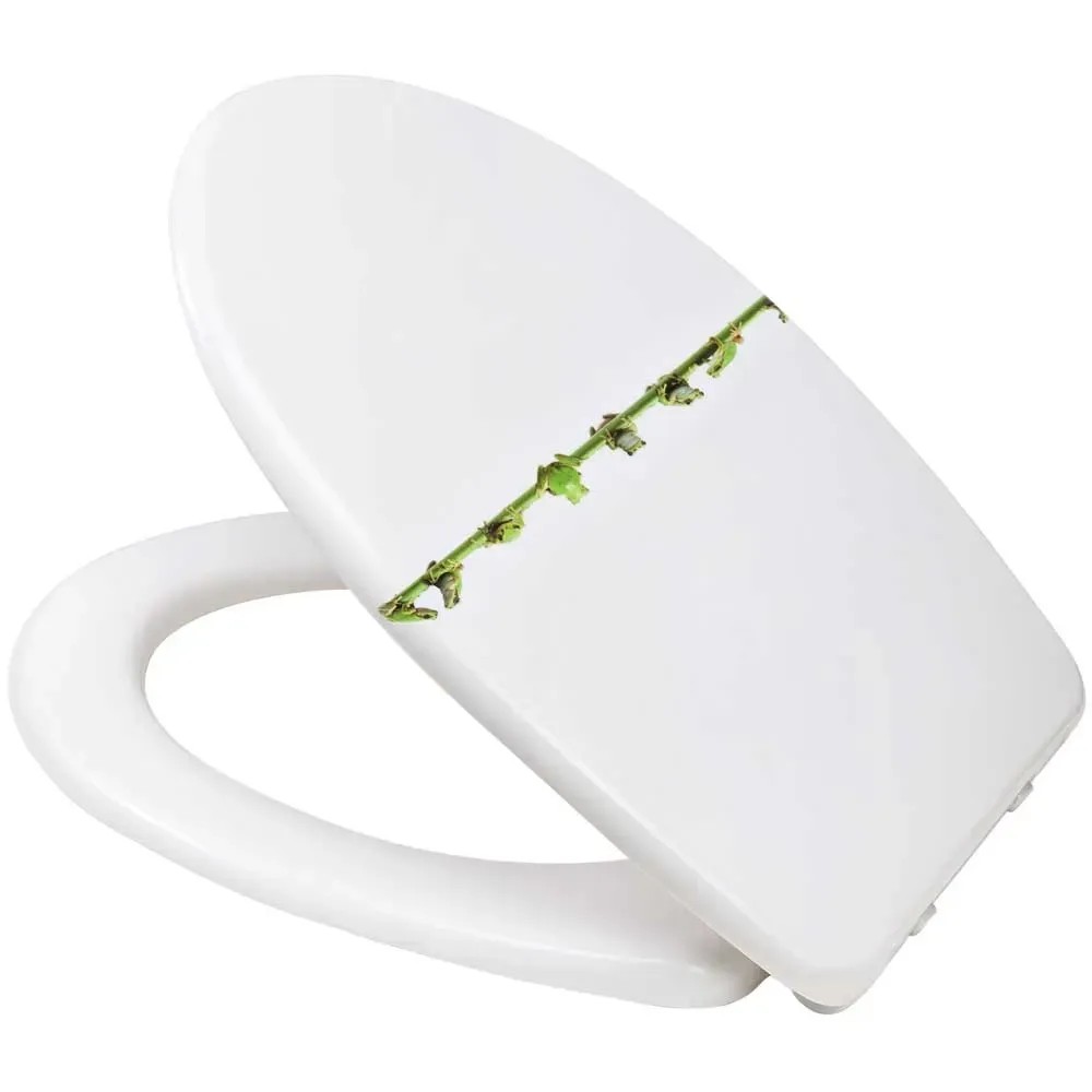 Diaqua® WC-Sitz Frog Duroplast Mehrfarbig mit Absenkautomatik kaufen ...