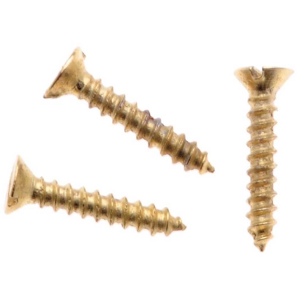 Mini-vis 10 x 4 mm / 24 pcs