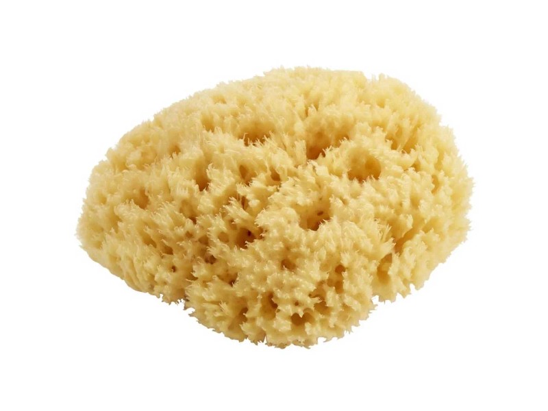 Naturschwamm ungebleicht 13 cm