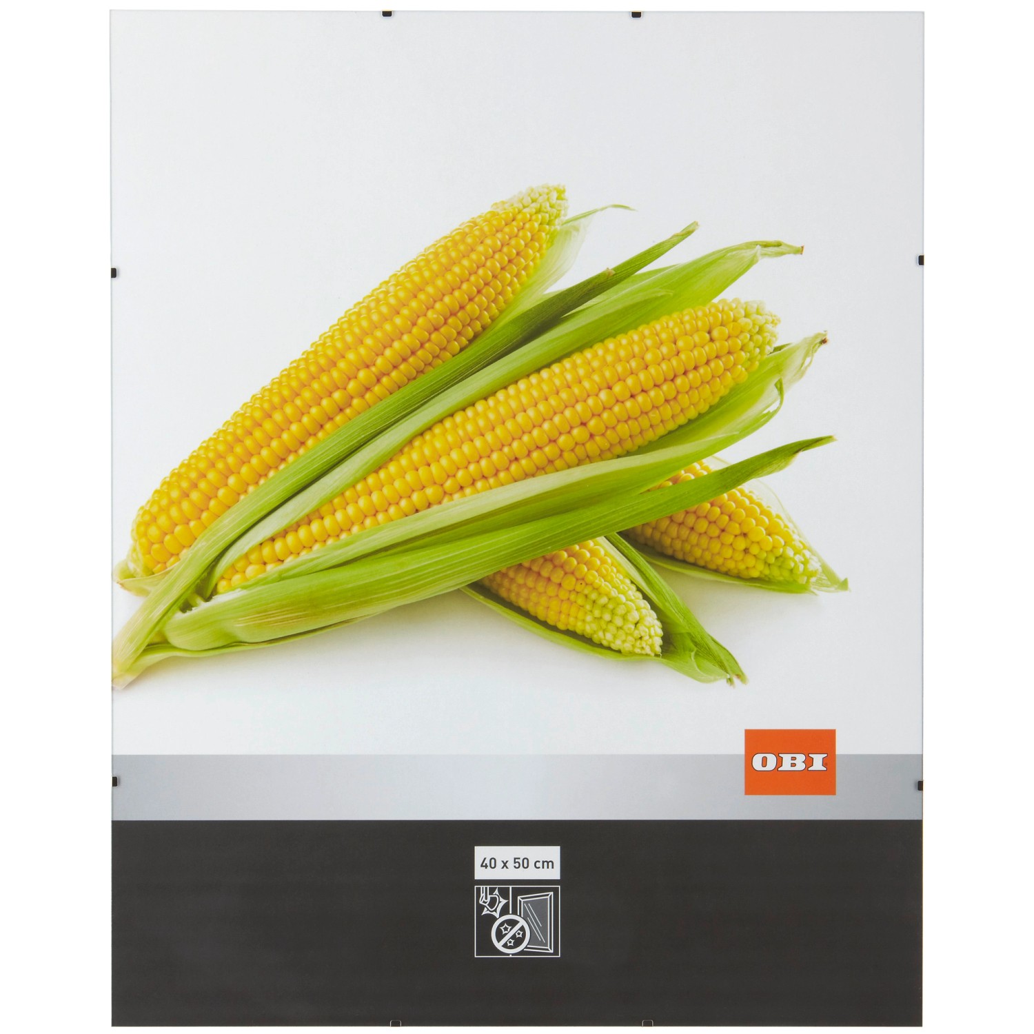 Bilderrahmen Clip Frame rahmenlos 40 x 50 cm kaufen bei OBI