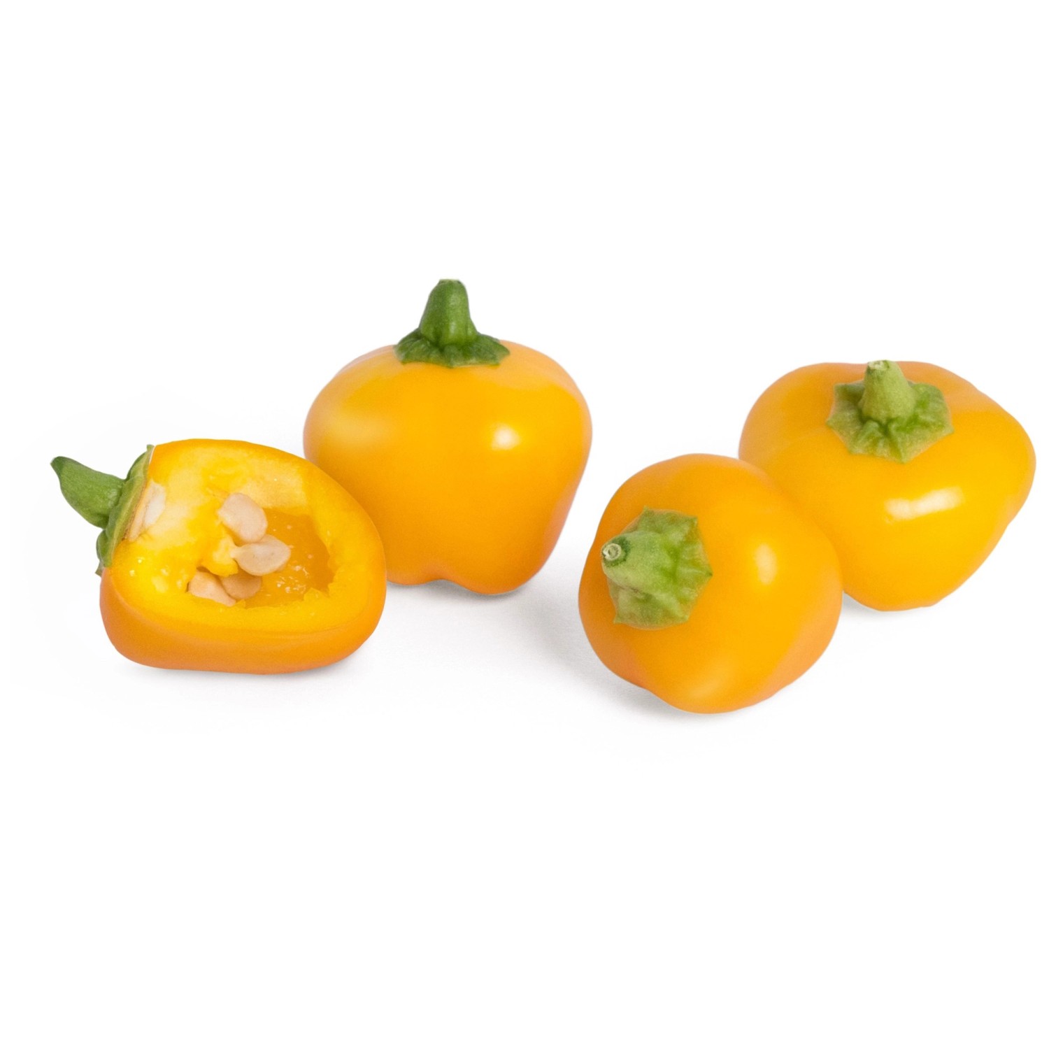 Véritable Lingot Gemüsesamen Bio Gelbe Mini-Paprika kaufen bei OBI