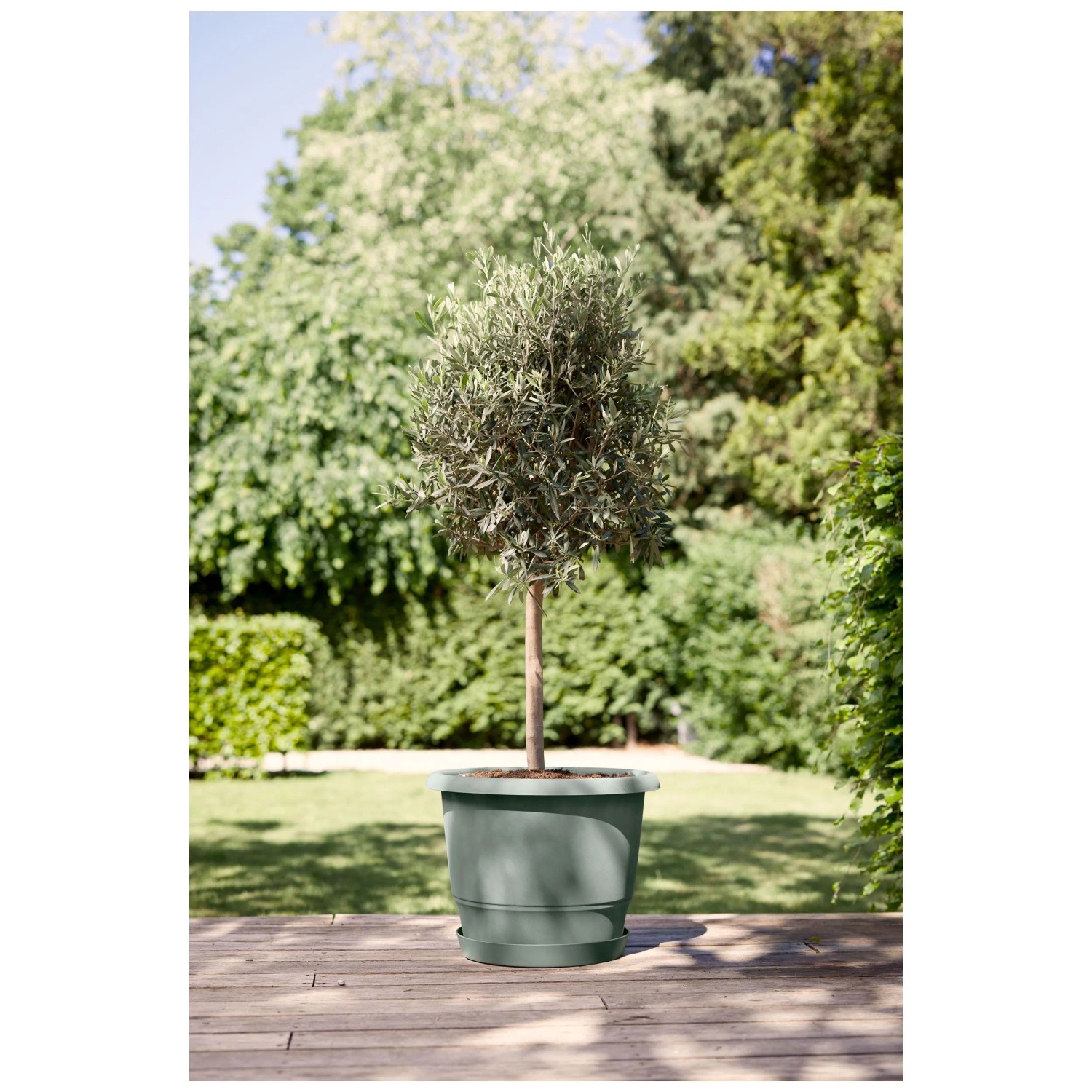 Elho Pot de fleurs Amiga plastique Vert thym Ø 40 x 29,3 cm / 20 l