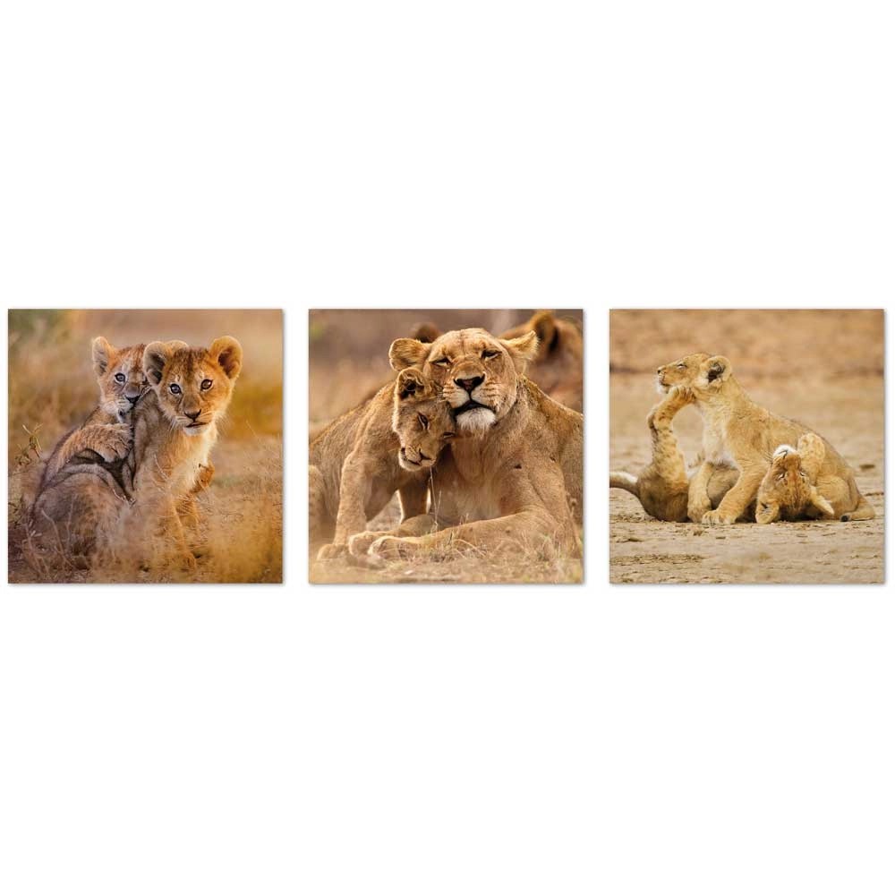 Deco Panel Lion 30 x 30 cm / 3-tlg. kaufen bei OBI