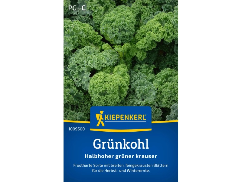 Kiepenkerl Grünkohl Halbhoher Grüner Krauser