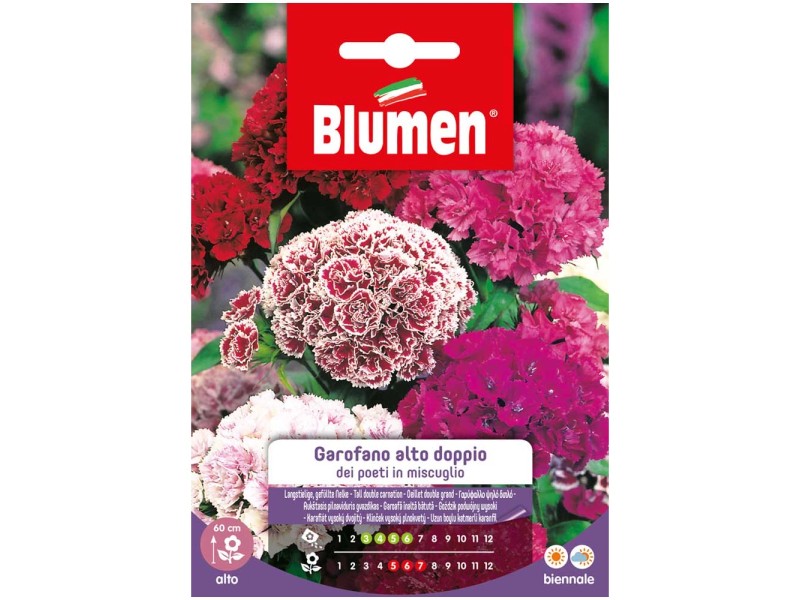 Blumen Mix Langstielige gefüllte Nelke Dianthus caryophyllus kaufen bei OBI