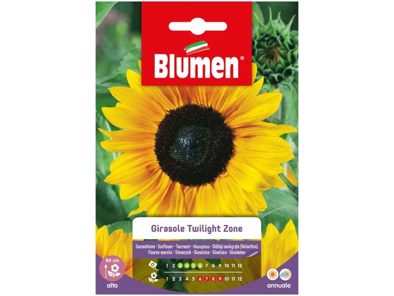 Blumen Sonnenblume Helianthus annuus Twilight Zone kaufen bei OBI