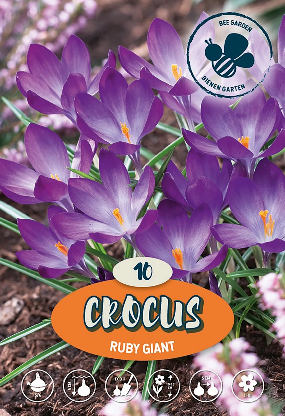 Croco Ruby Giant acquista da OBI