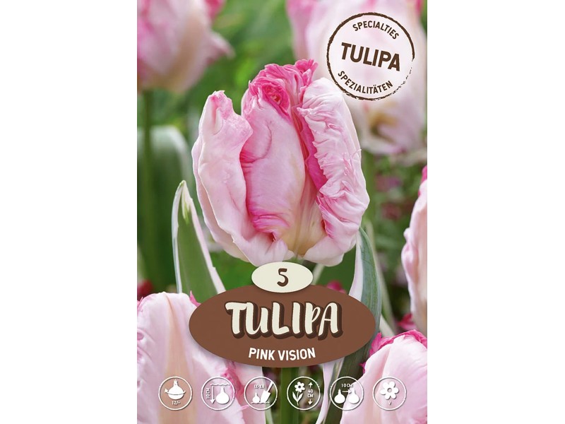 Papagei-Tulpe Pink Vision kaufen bei OBI