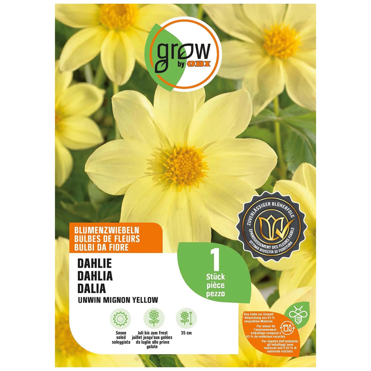 Grow by OBI Dahlia Unwin Mignon Yellow 1 pc