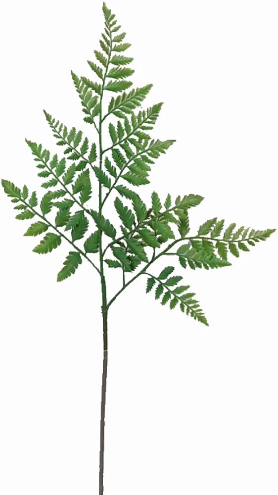 Deko-Farnzweig Grün 66 cm kaufen bei OBI