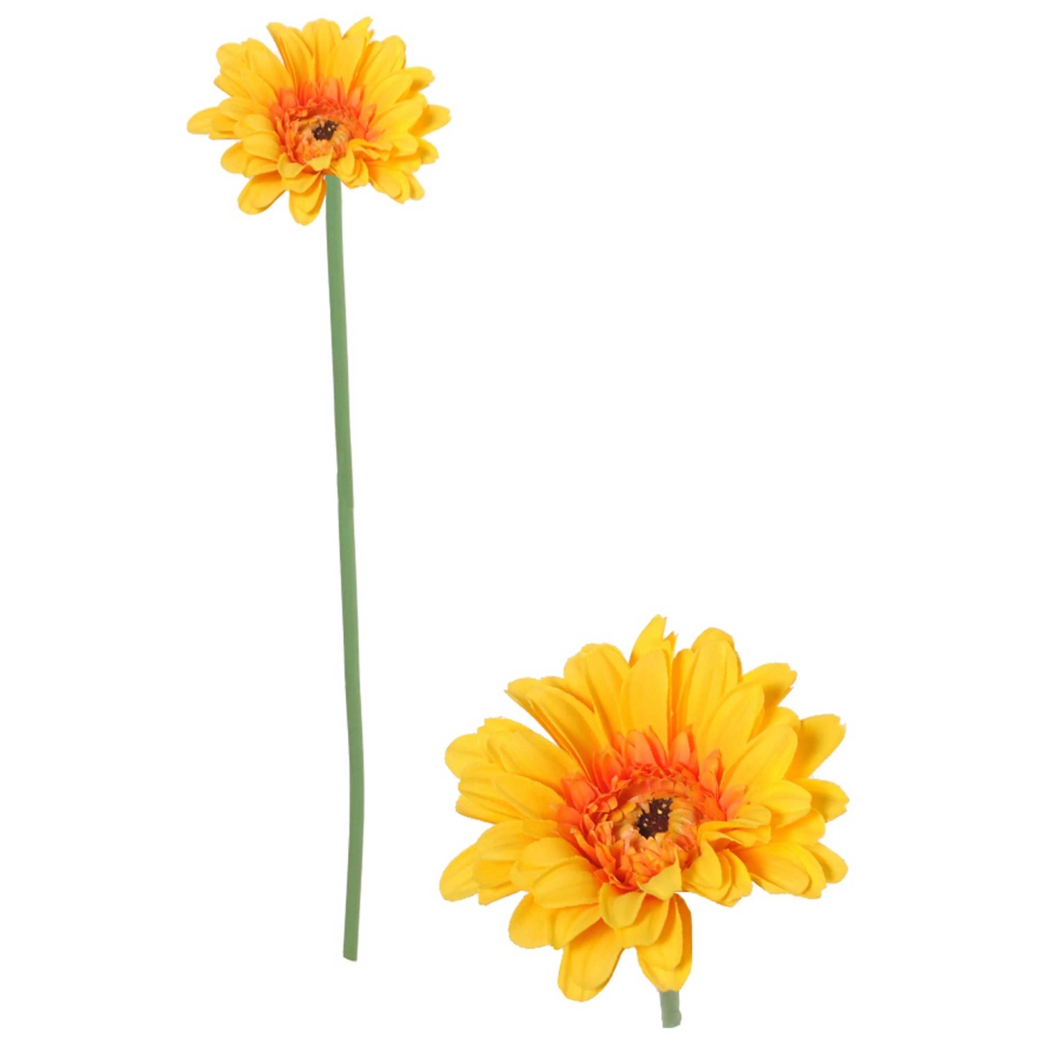 DecoFinder Stelo di gerbera Giallo altezza 55 cm