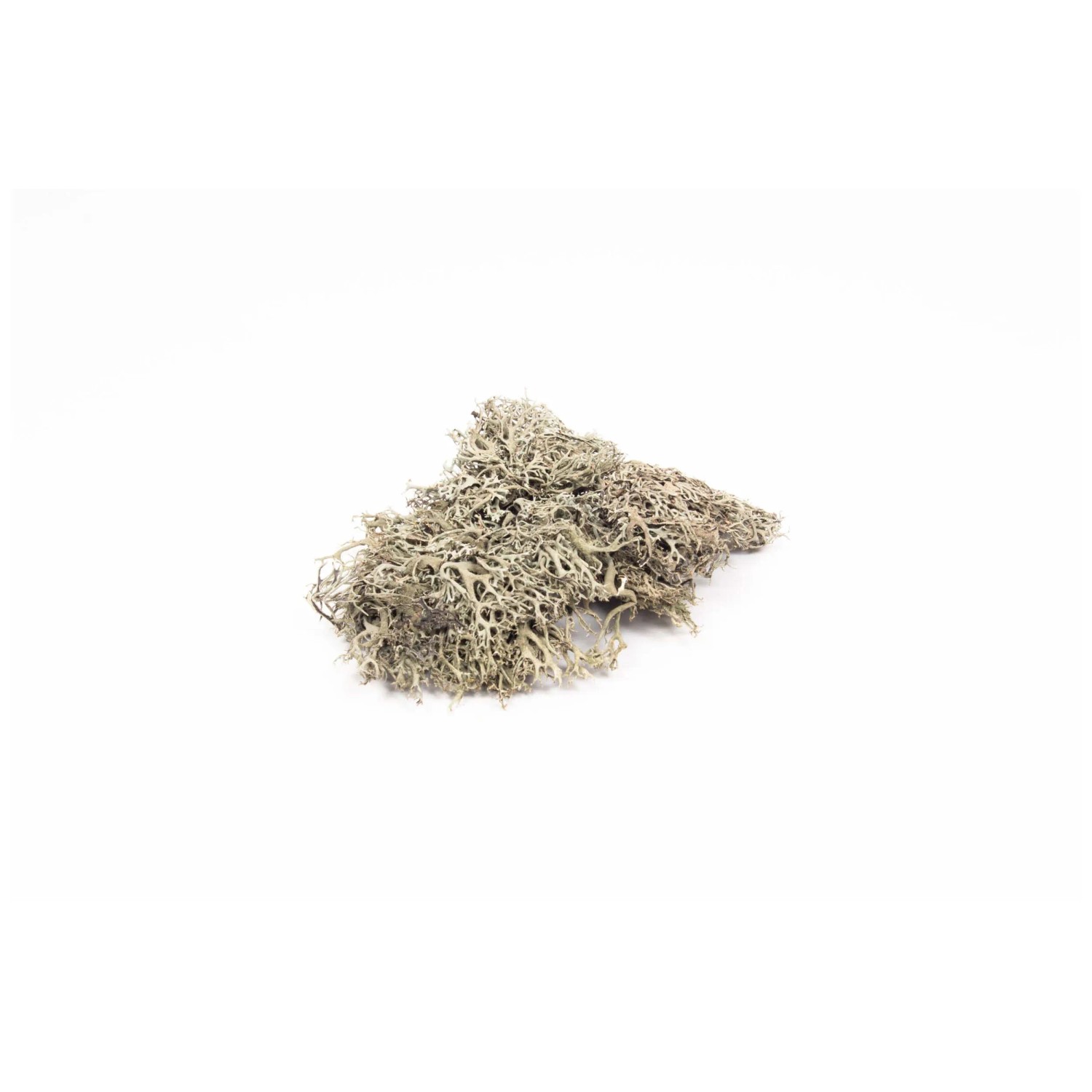 Glorex Mousse grise 50 g