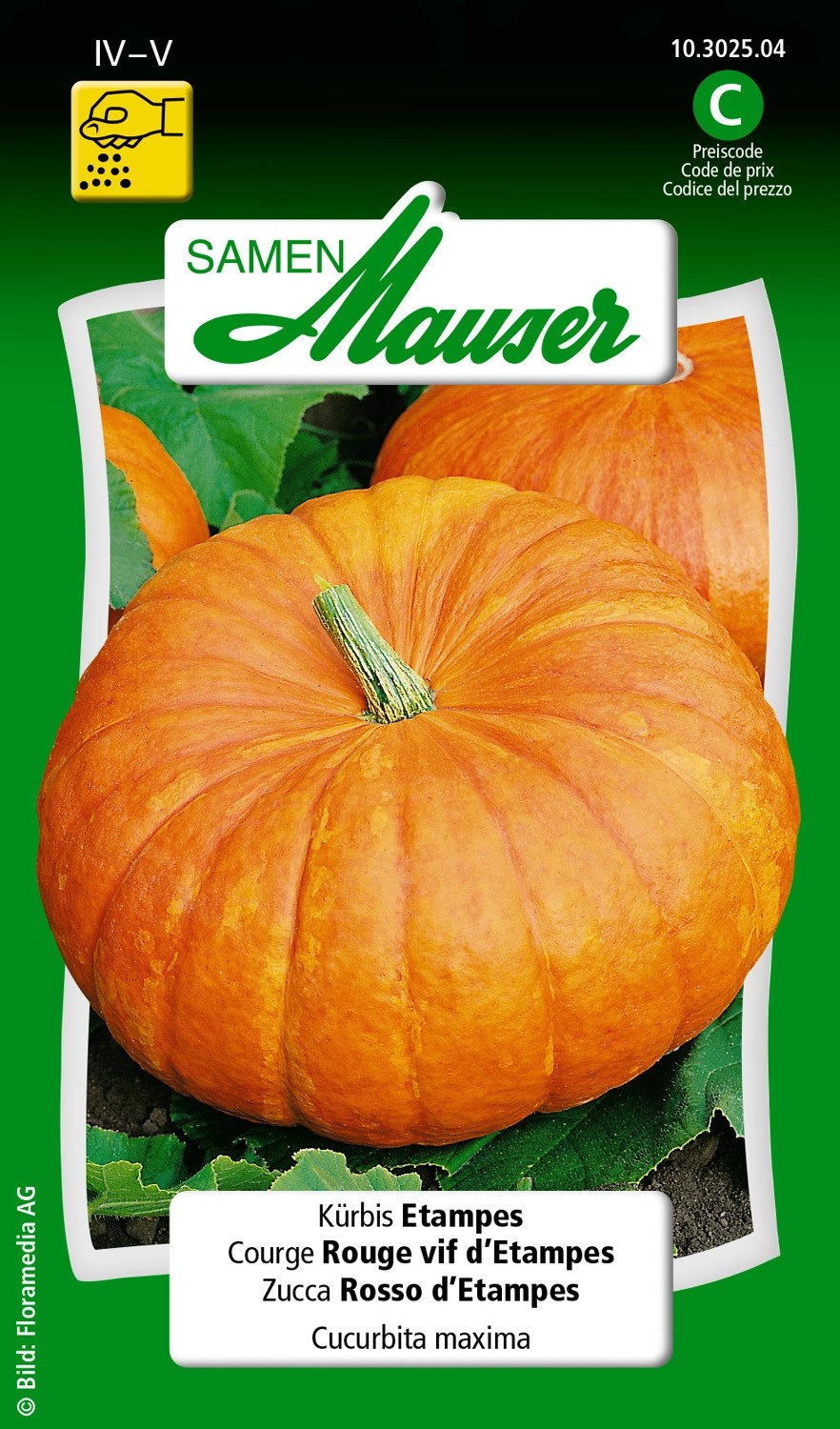 Courge Rouge vif d 'Etampes