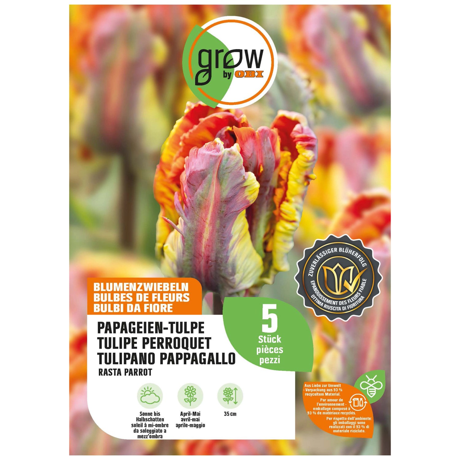 GROW by OBI Papagei-Tulpe Rasta ParRot Orange 5 Stk. kaufen bei OBI