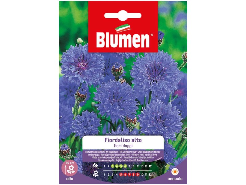 Blumen Gefüllte Kornblume Centaurea cyanus hoch kaufen bei OBI