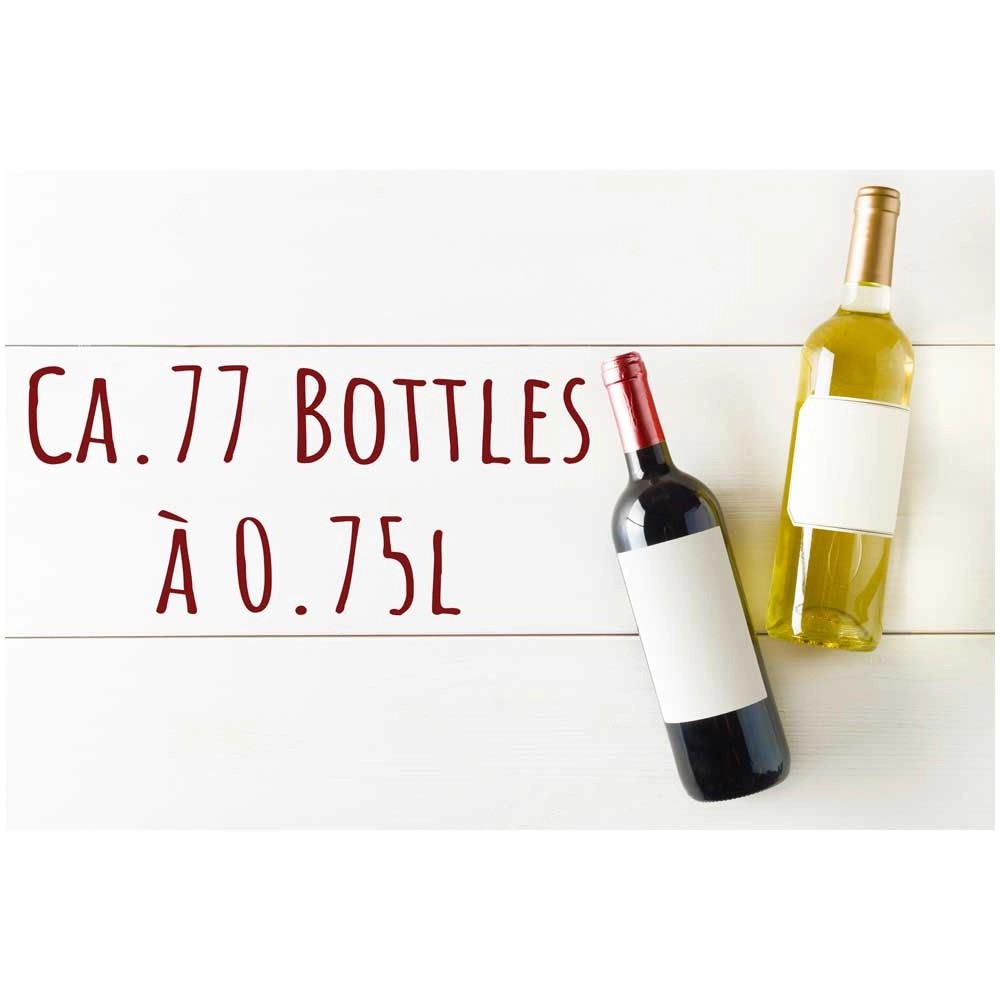 Trisa Weinkühlschrank mit Dual Zone Türe rechts 191 l kaufen bei OBI