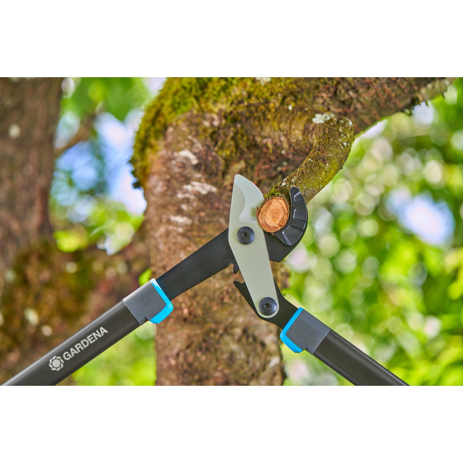 Gardena Astschere EnergyCut pro Anvil L kaufen bei OBI