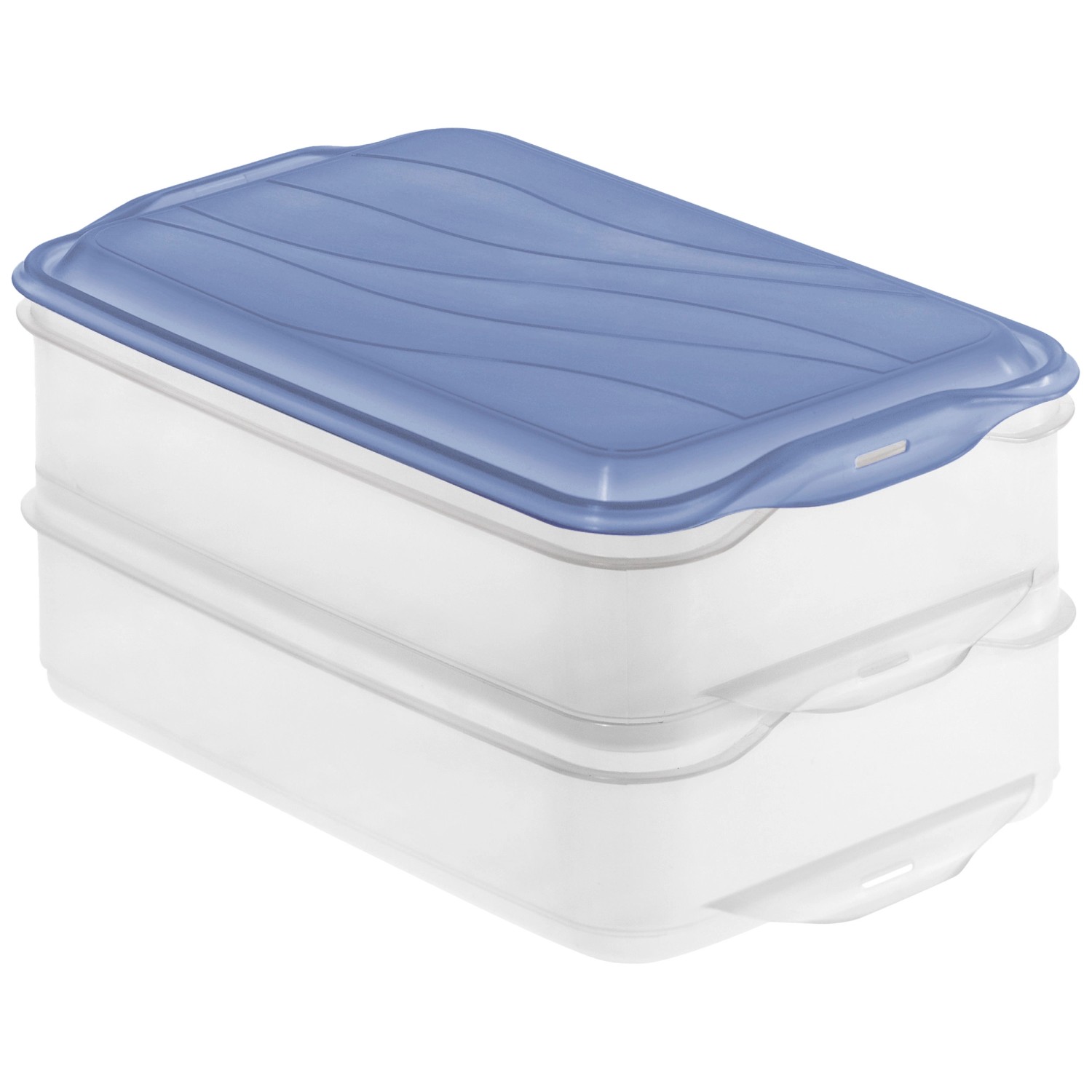 Rotho Frischhaltedosen-Set Foodcenter 2 Rondo 2 x 1,35 l kaufen bei OBI