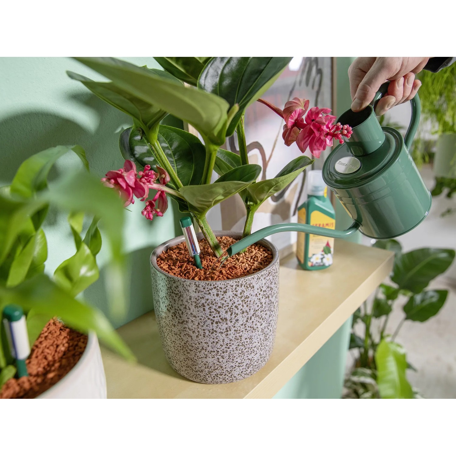 Seramis Granulés pour plantes 15 l + 3 l