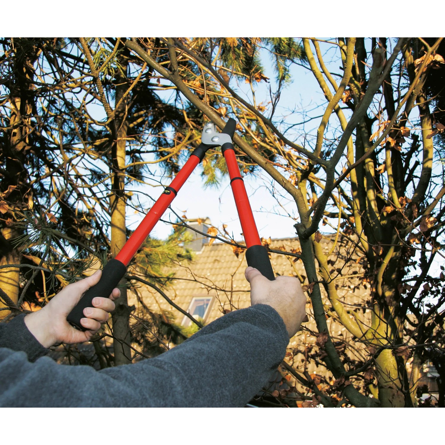 LUX-TOOLS Amboss Astschere mit teleskopierbaren Griffen bis 25 mm ...
