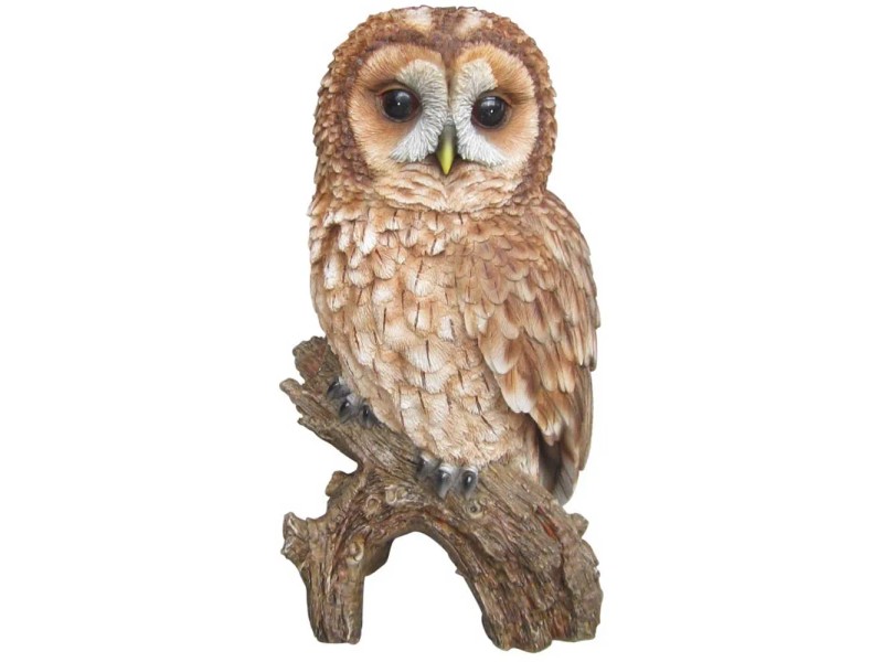Vivid Arts Eule auf dem Ast Gelbbraun (HxBxT) 31,5 x 17,2 x 14,2 cm ...