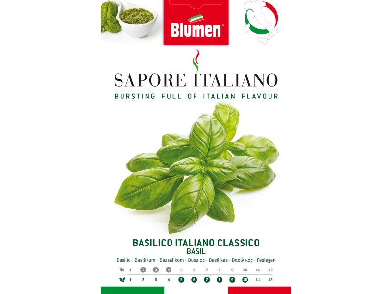 Basilikum Italiano Classico kaufen bei OBI