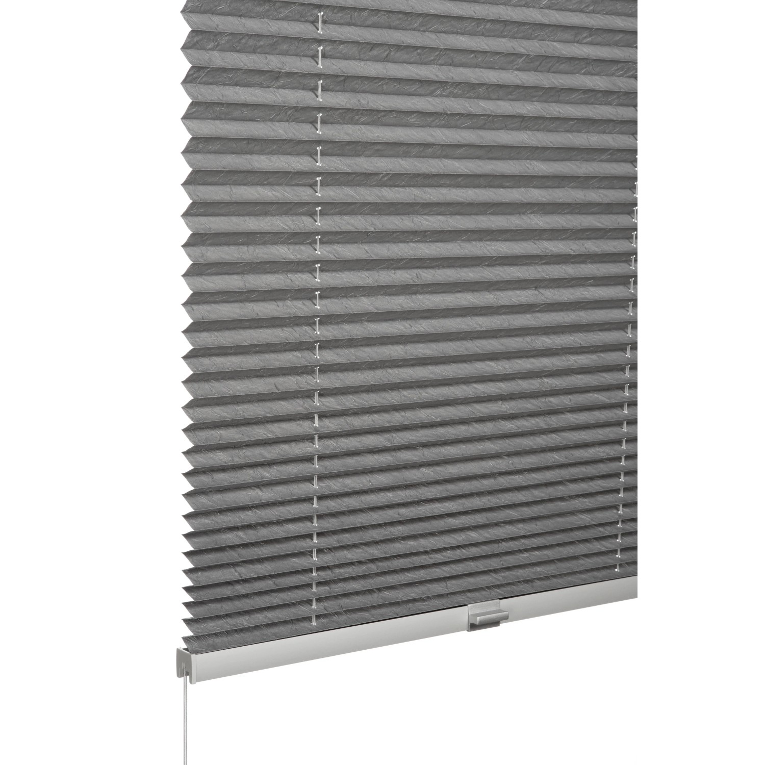 Schöner Wohnen Store plissé Milla translucide Gris 60 x 130 cm