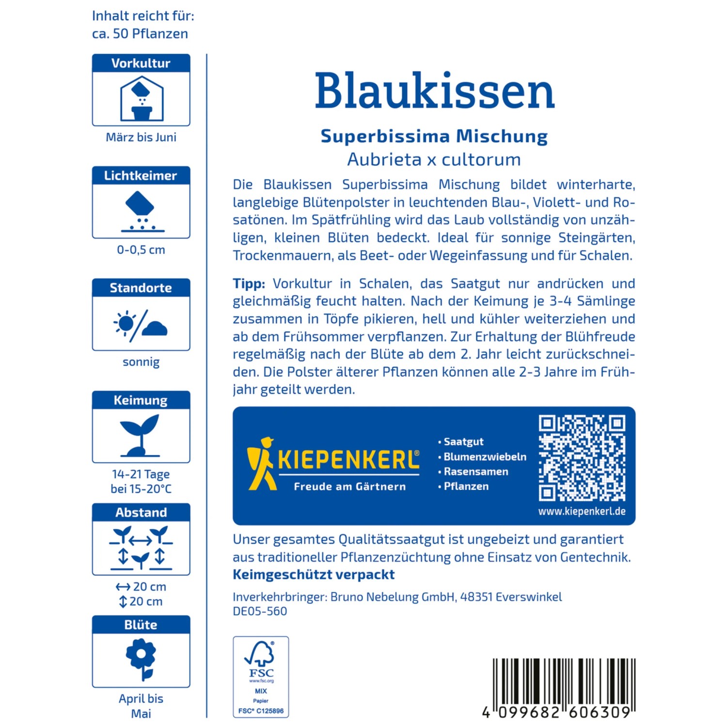Kiepenkerl Semi di aubrezia Superbissima Mix 50 piante