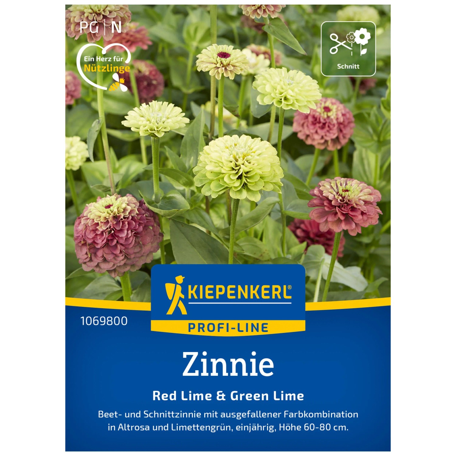 Kiepenkerl Saatgut Zinnie Red Lime und Green Lime 20 Pflanzen kaufen ...