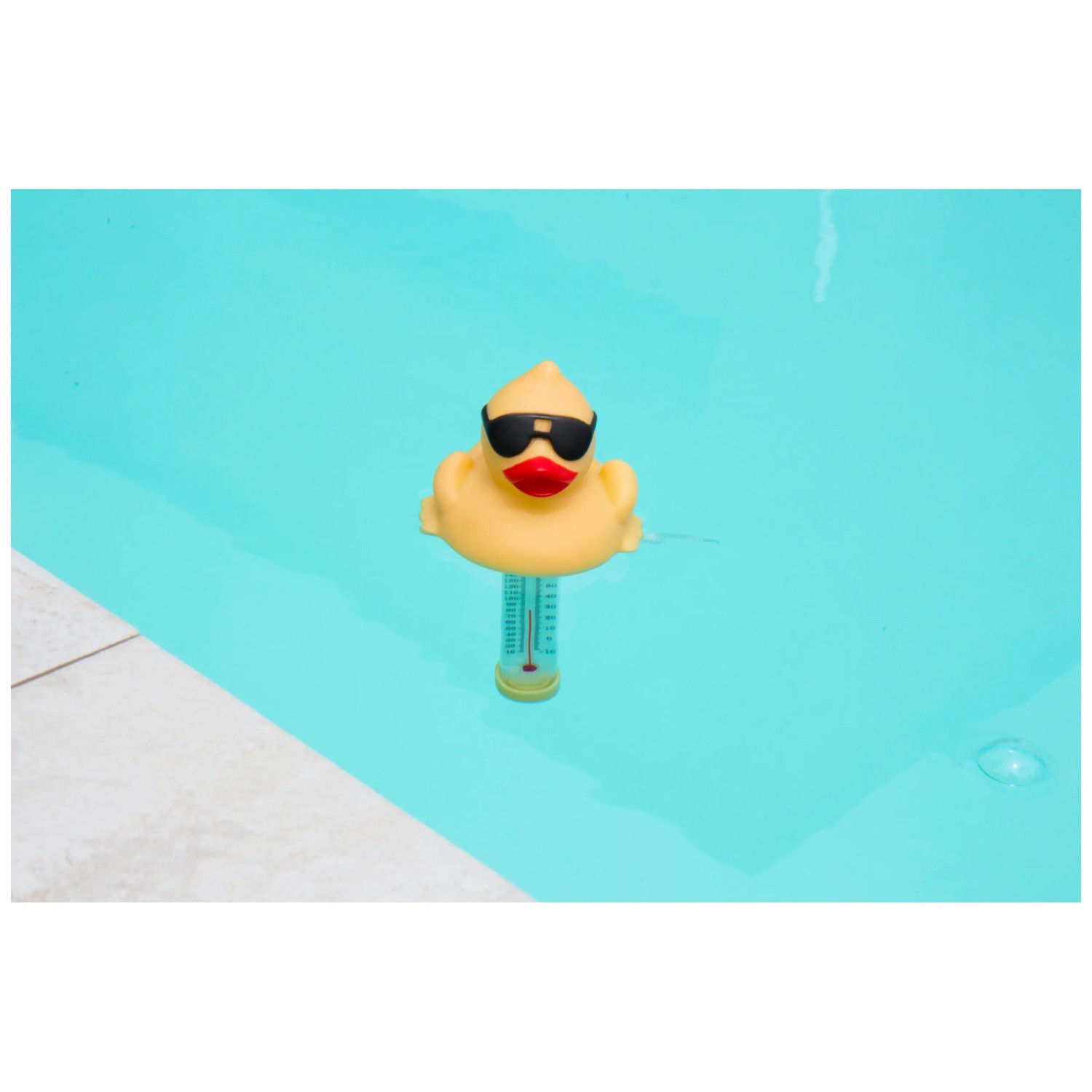 Steinbach Schwimmthermometer Derby Duck kaufen bei OBI