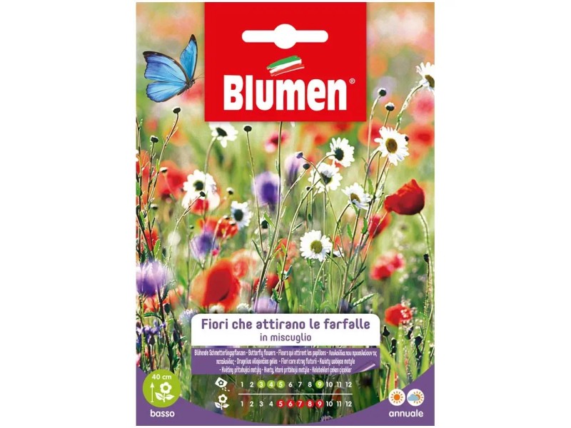 Blumen Blühende Schmetterlingspflanzen kaufen bei OBI