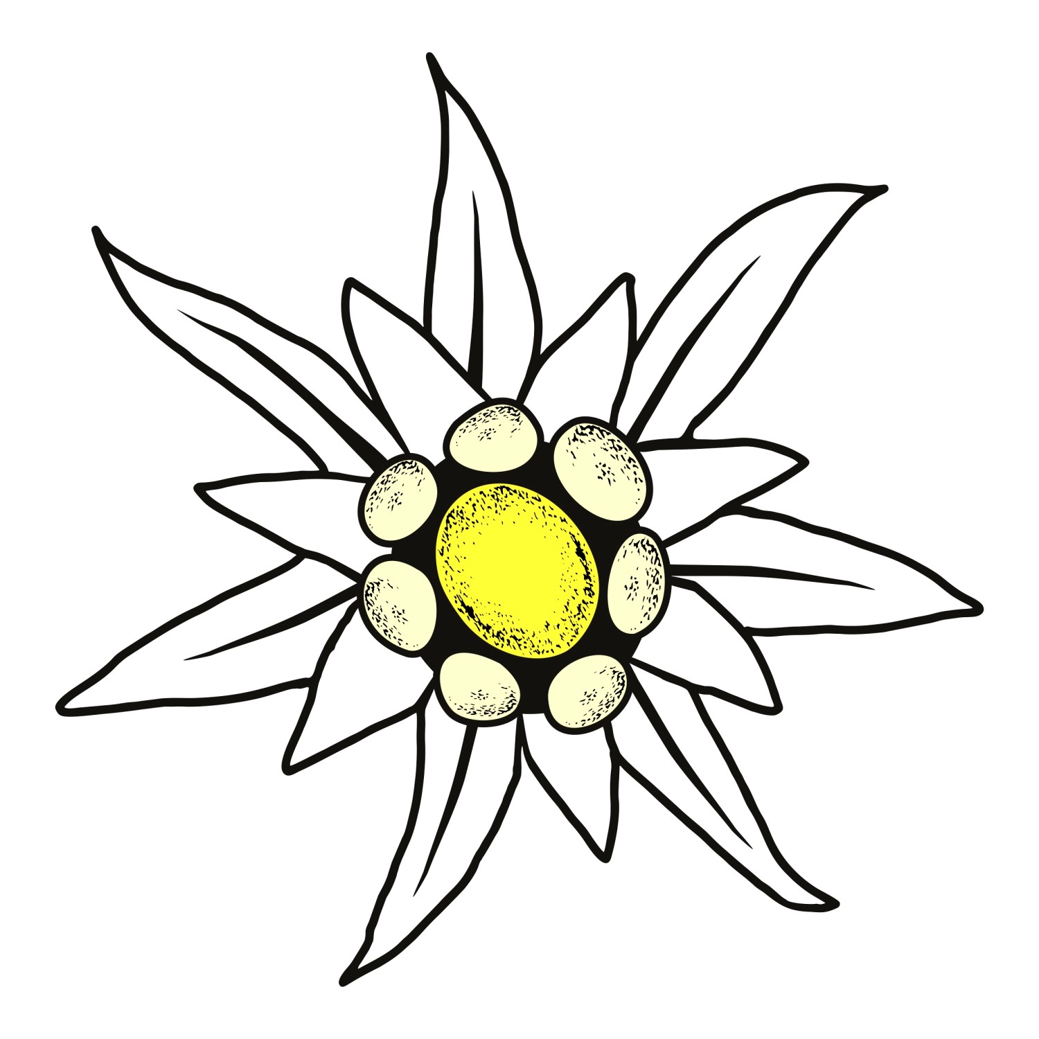 Sticker Edelweiss kaufen bei OBI