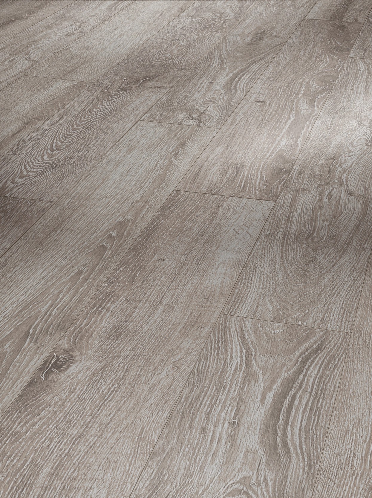 Campione Parador Pavimento in laminato Basic 200 Rovere Grigio chiaro
