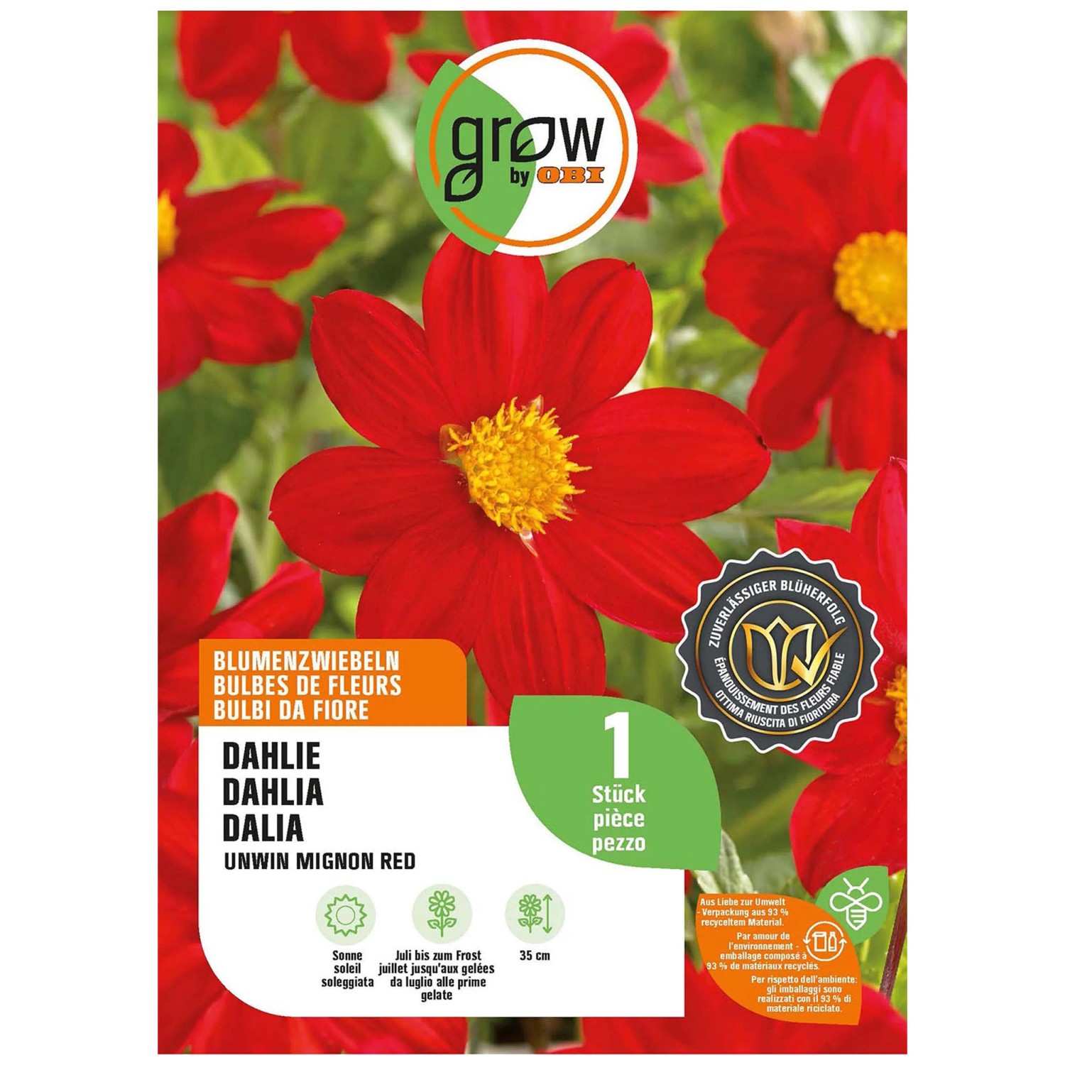 Grow by OBI Dahlia Unwin Mignon Red 1 pc