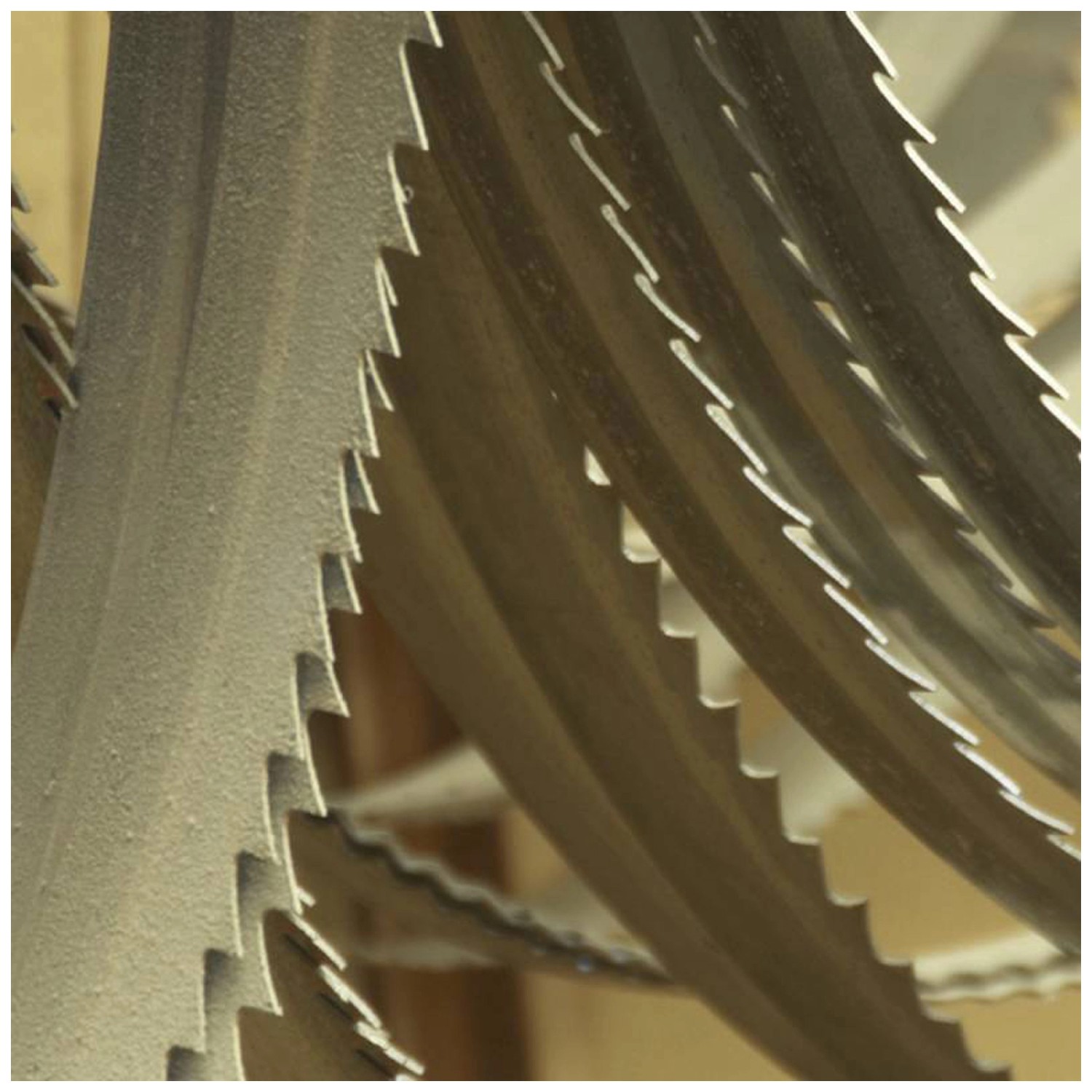 Femi Bandsägeblatt für Metall M42 6 Zähne/Zoll Bimetall-Kobalt 1'335 mm ...